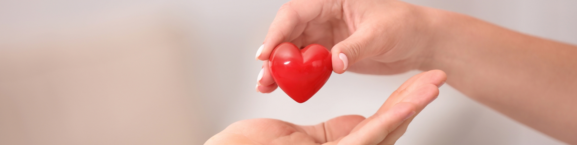 Ways to Give - Mercy Center